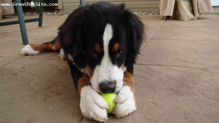 Index of /resources/photos/from_owners/